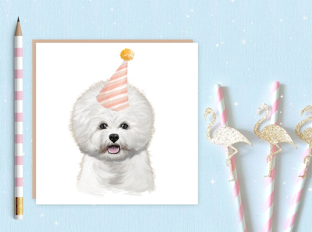 Bichon Frise Birthday Card Bichon Frise Card Bichon Frise Birthday Gift ...