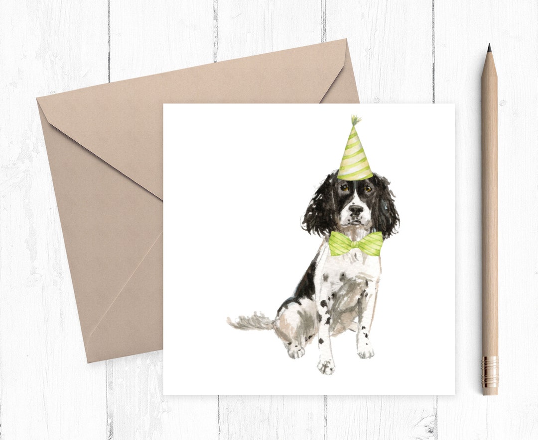 Springer Spaniel Birthday Card Springer Spaniel Gift for Dog Lover ...
