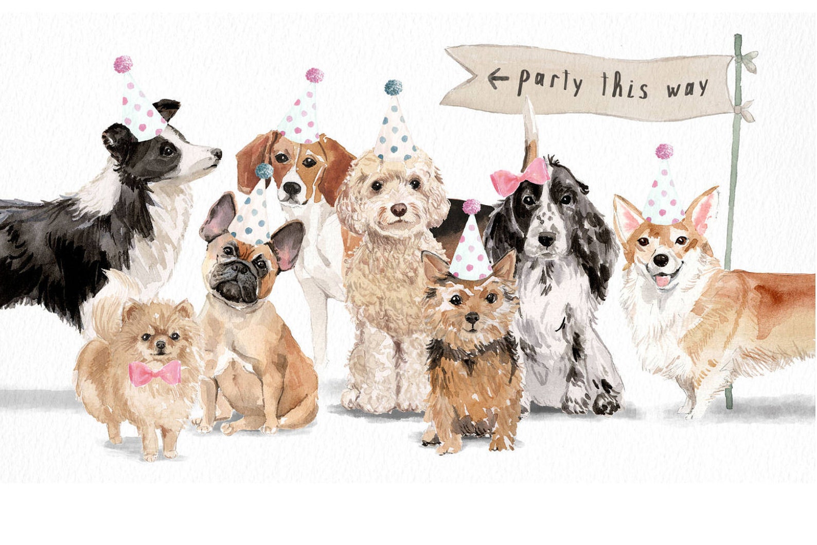 Dog Birthday Card - Etsy