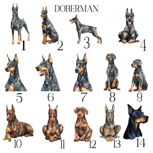 Doberman Card Doberman Birthday Card Dobie Card Gift for Doberman Owner ...