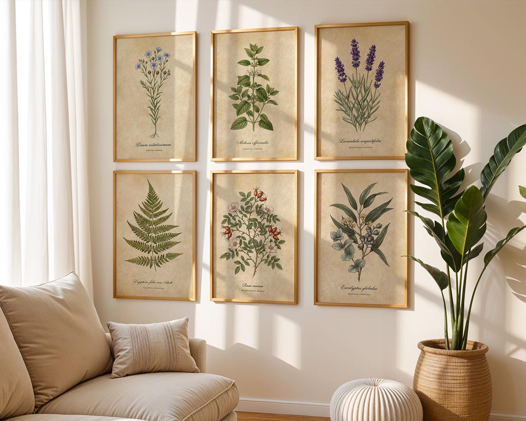 Botanical Illustration Set of 6 Posters Old Money Home Decor Antique ...