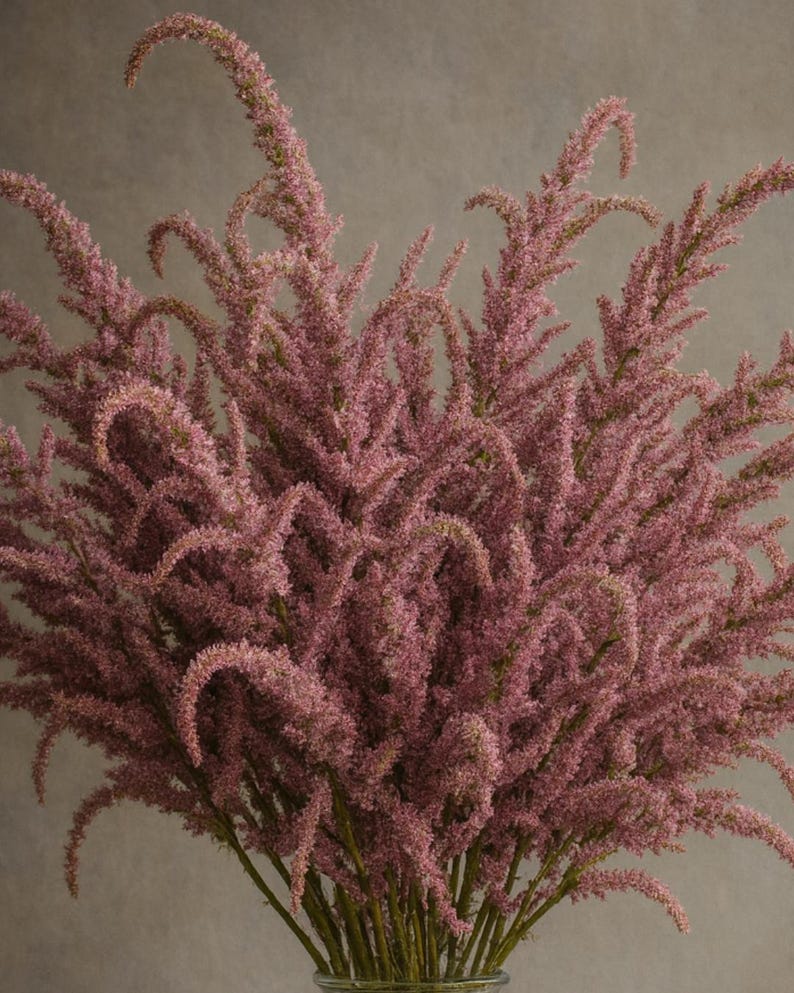 Pink Statice Seeds, 'pink Pokers' Everlasting Dried Blooms - Etsy