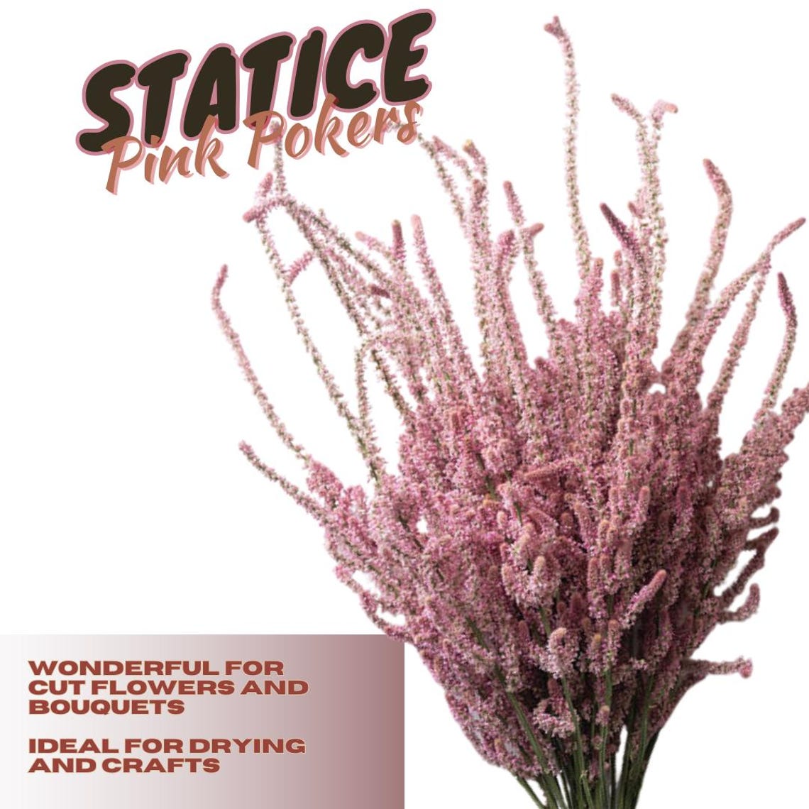 Pink Statice Seeds, 'pink Pokers' Everlasting Dried Blooms - Etsy