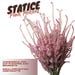 Pink Statice Seeds, 'pink Pokers' Everlasting Dried Blooms - Etsy