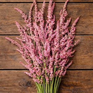Pink Statice Seeds, 'pink Pokers' Everlasting Dried Blooms - Etsy