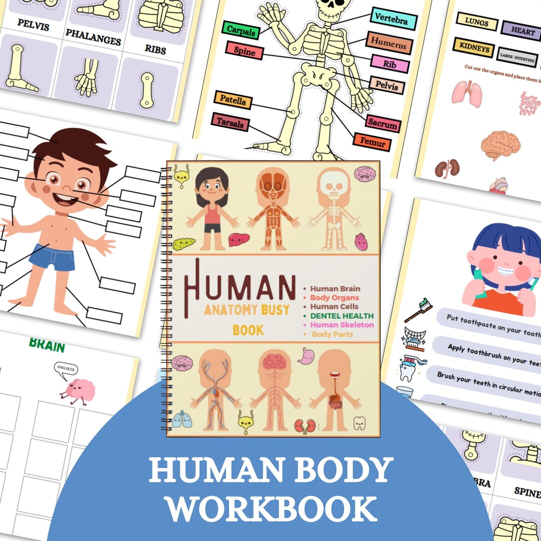 Human Anatomy Cut and Paste Activity Homeschool Elementary - Etsy