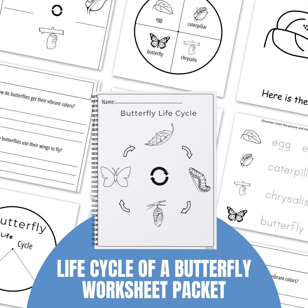 Life Cycle of a Butterfly Worksheet Packet - Etsy
