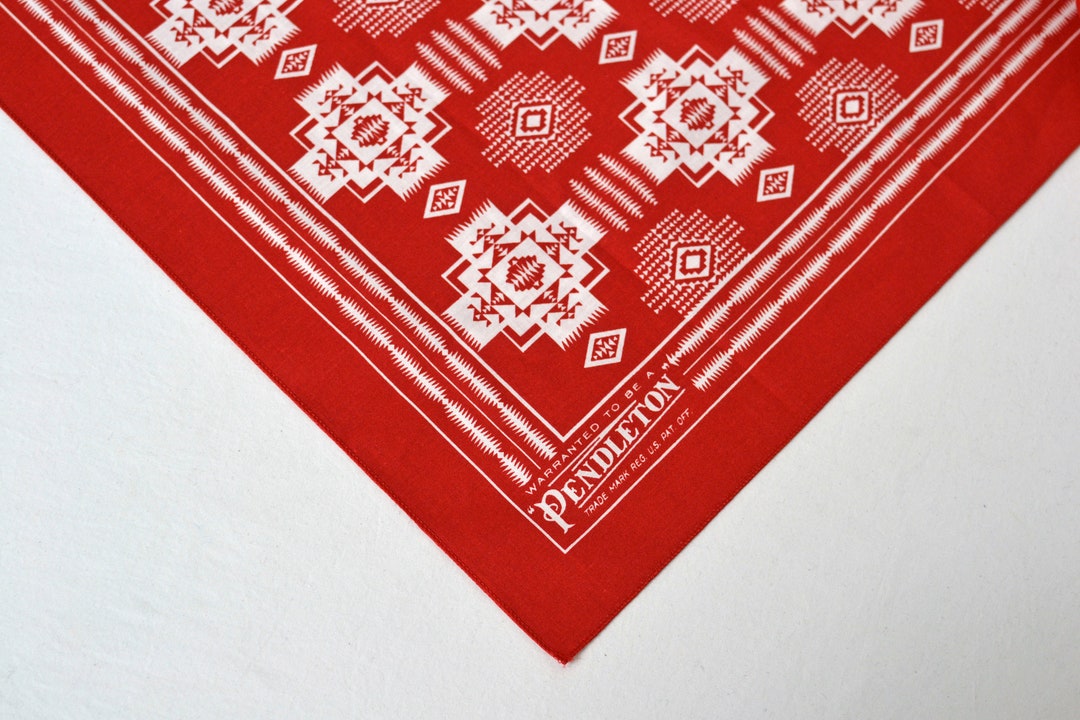 Buy Pendleton® Bandanna Dog Collar Native American Chief Joseph ...