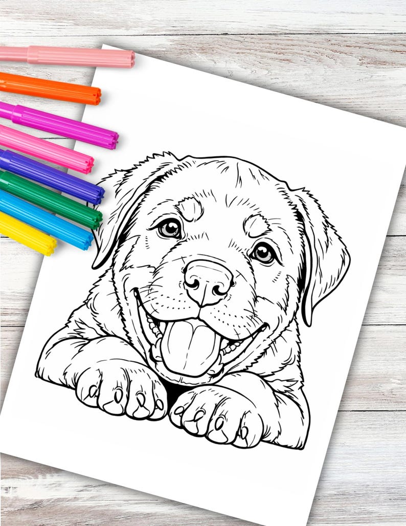 Rottweiler Coloring Page Instant Digital Download PDF Printable Adult ...
