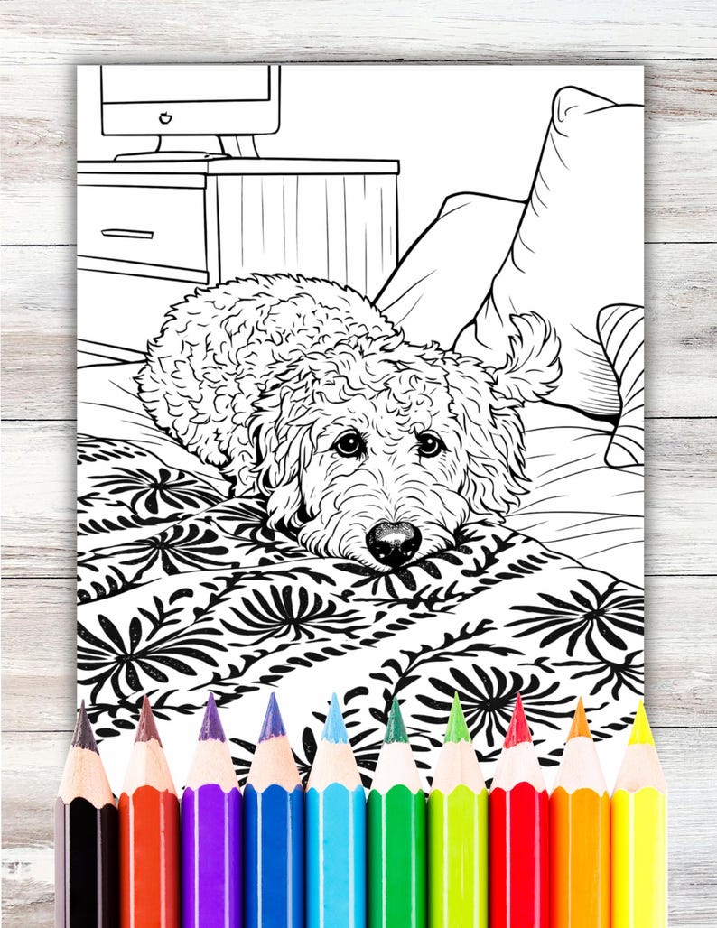 Labradoodle Coloring Page Instant Digital Download PDF Printable Adult ...