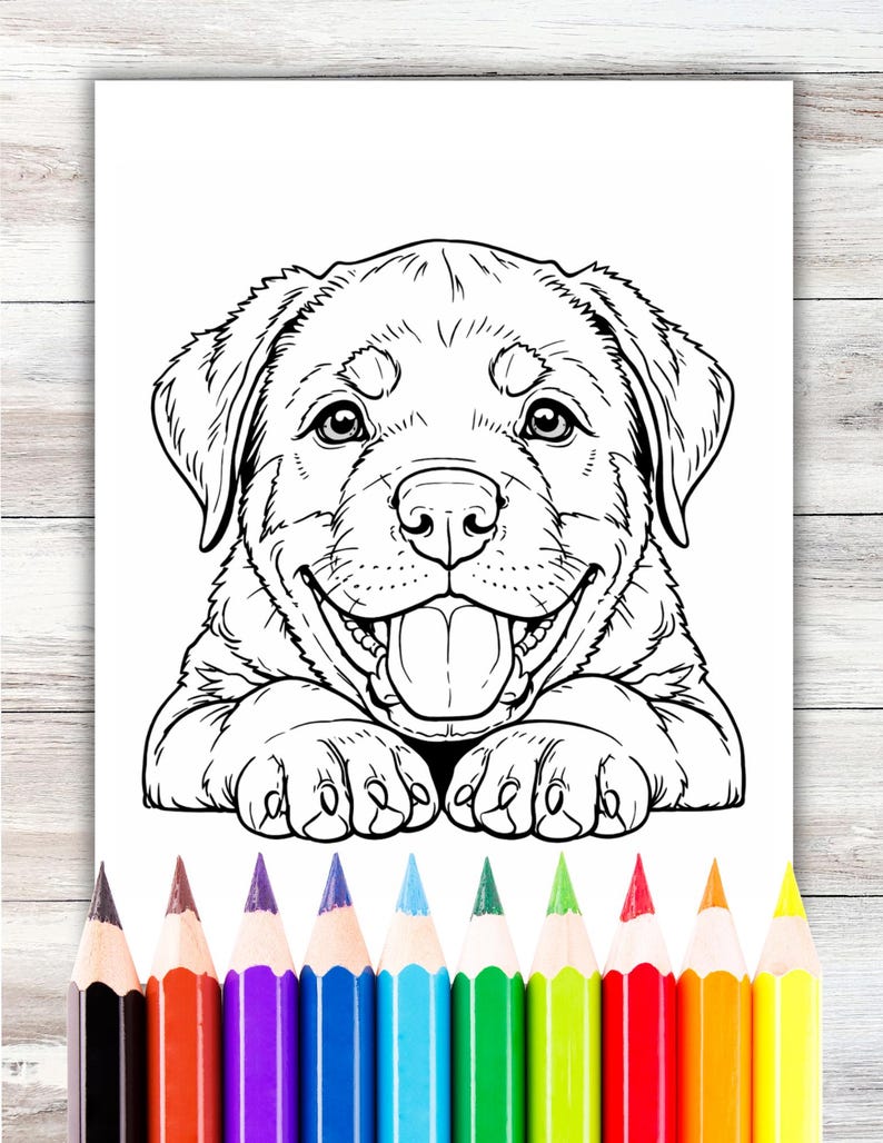 Rottweiler Coloring Page Instant Digital Download PDF Printable Adult ...