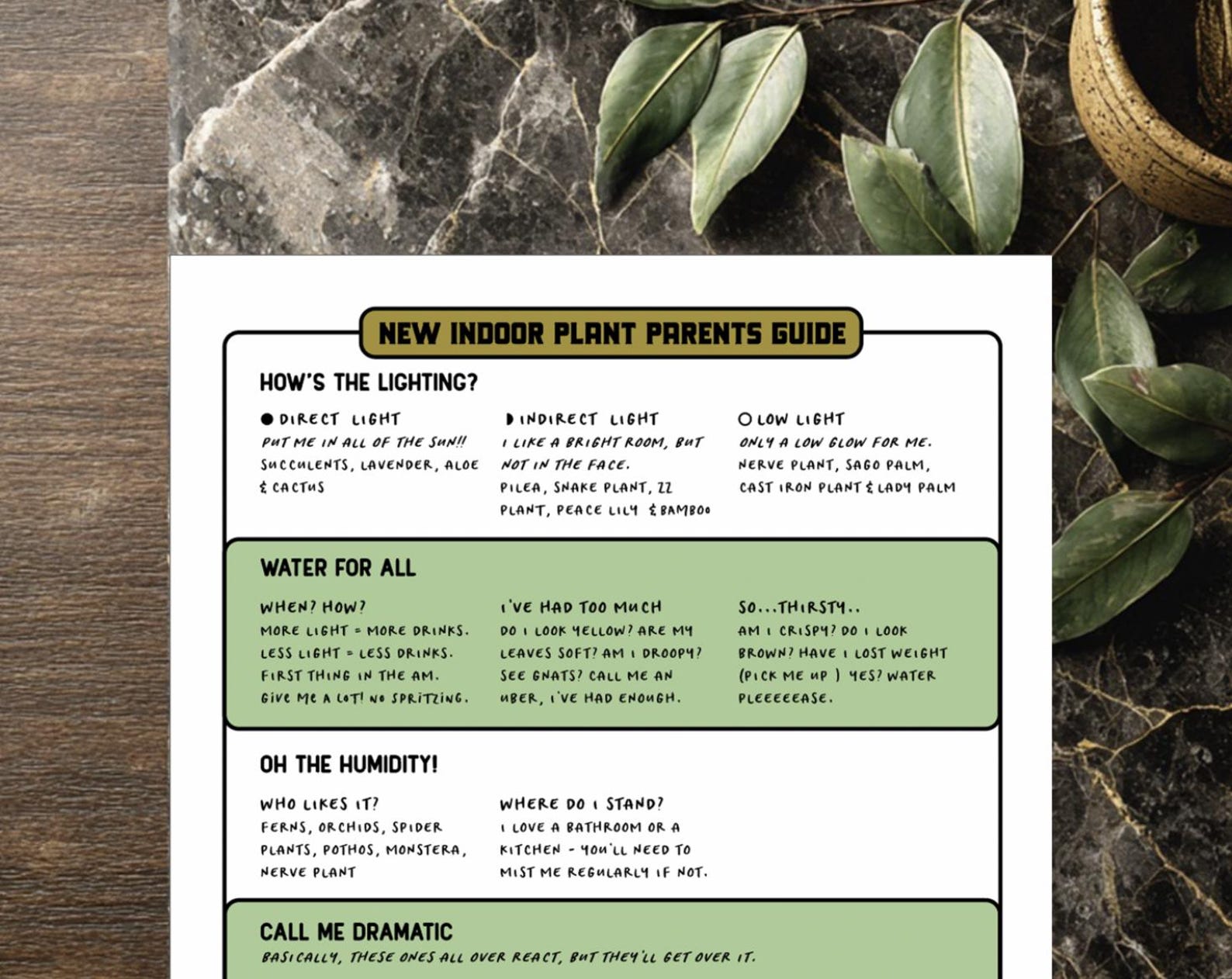 Indoor Plant Care Guide | Houseplant Quick Tips Cheat Sheet (PDF) - Etsy