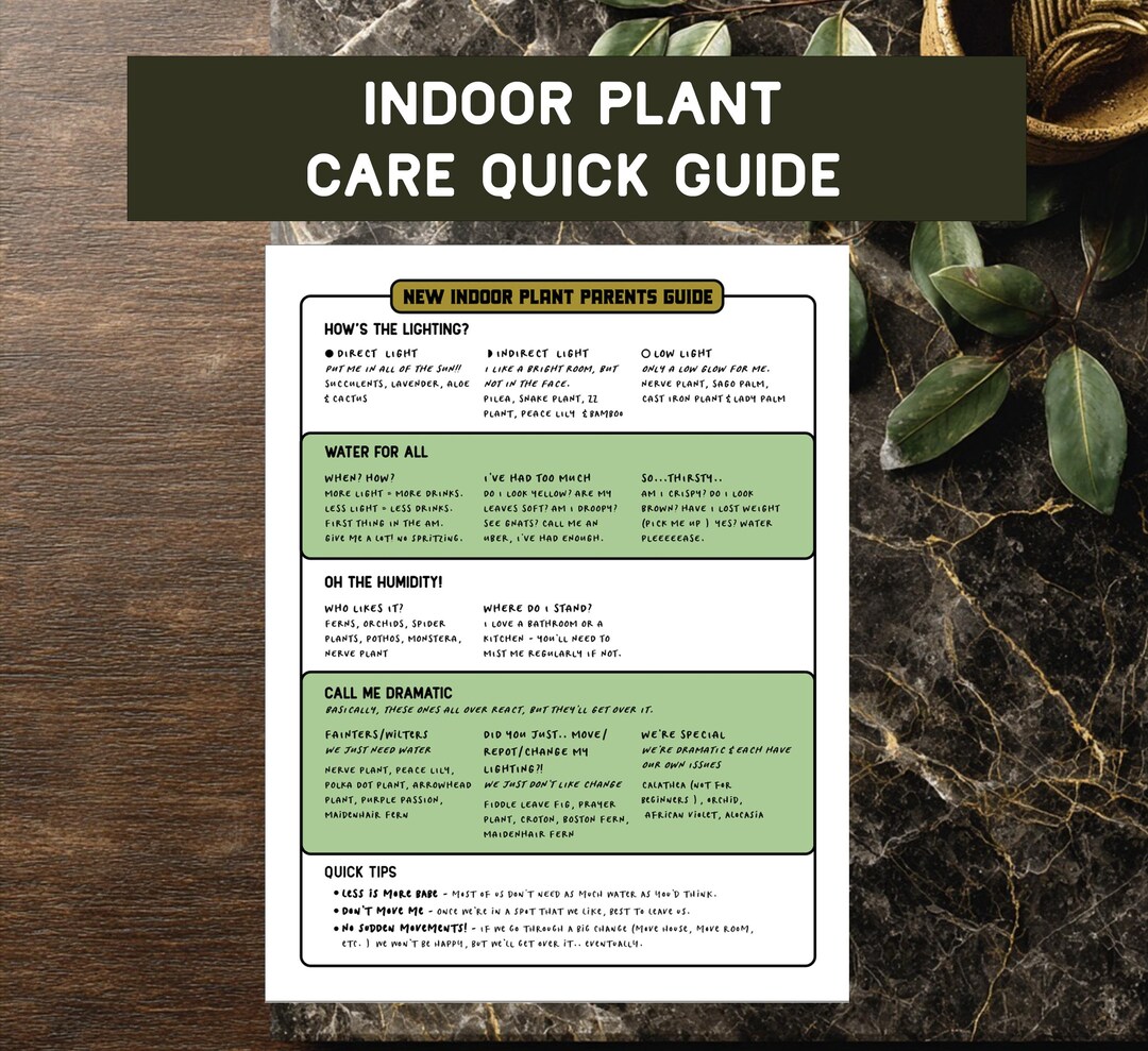 Indoor Plant Care Guide | Houseplant Quick Tips Cheat Sheet (PDF) - Etsy