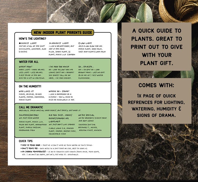 Indoor Plant Care Guide | Houseplant Quick Tips Cheat Sheet (PDF) - Etsy