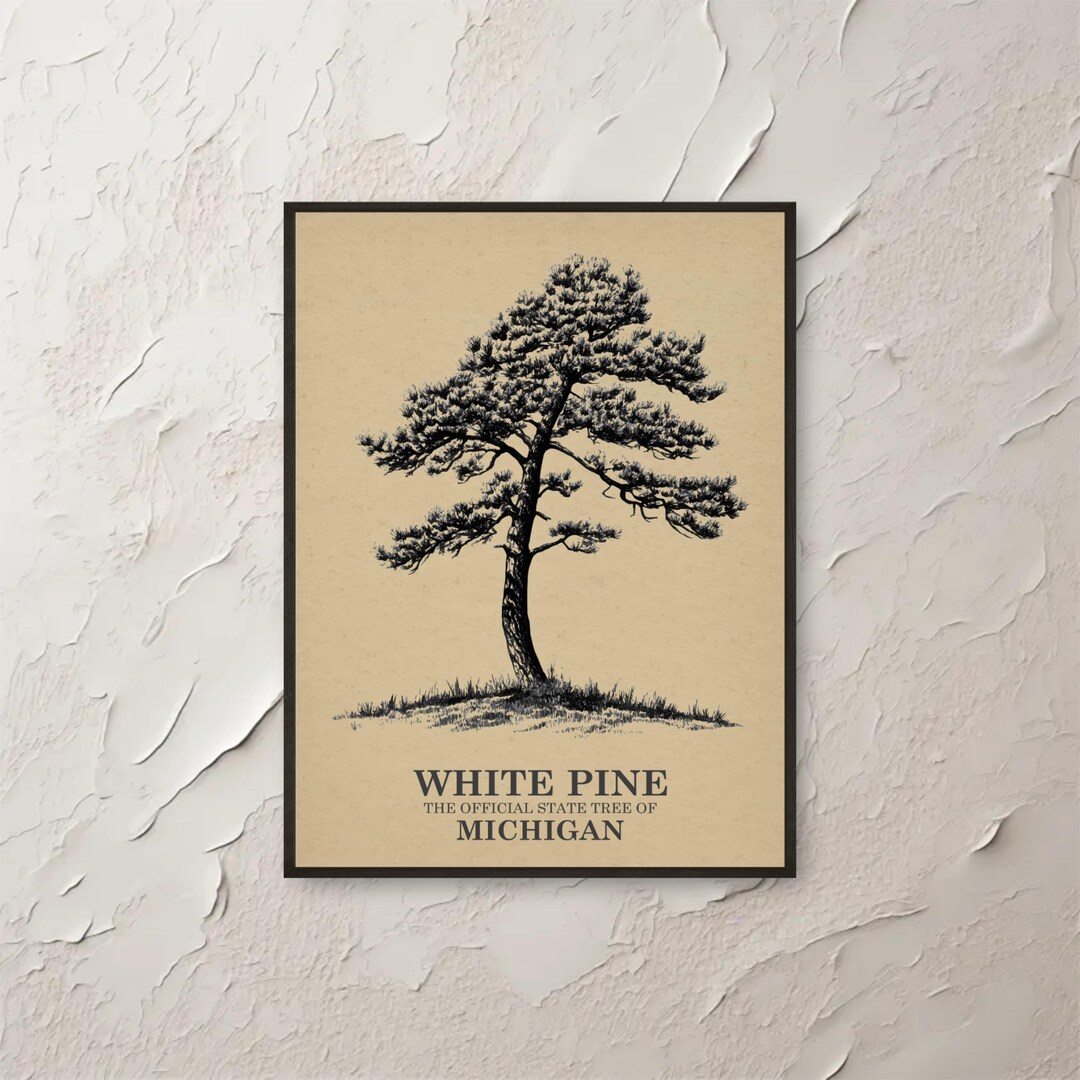 White Pine Print Wall Art, Michigan State Tree Digital Download ...
