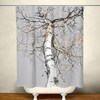 Mountain Birch Forest Wall Tapestry, Birch Trees, Utah Wall Art, Nature ...