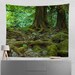 Oregon Rainforest Wall Tapestry, Mossy Woodland Scene, Tree Roots ...