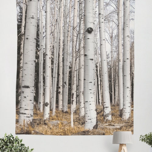 Tall Birch Trees Wall Tapestry Forest Tapestry Lodge Style | Etsy