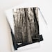 Cypress Forest School Notepad Goth Doodle Pad 6x8 Spiral - Etsy