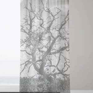 Tree Branches Window Curtains, 50x84in, Sheer or Blackout , Nature ...