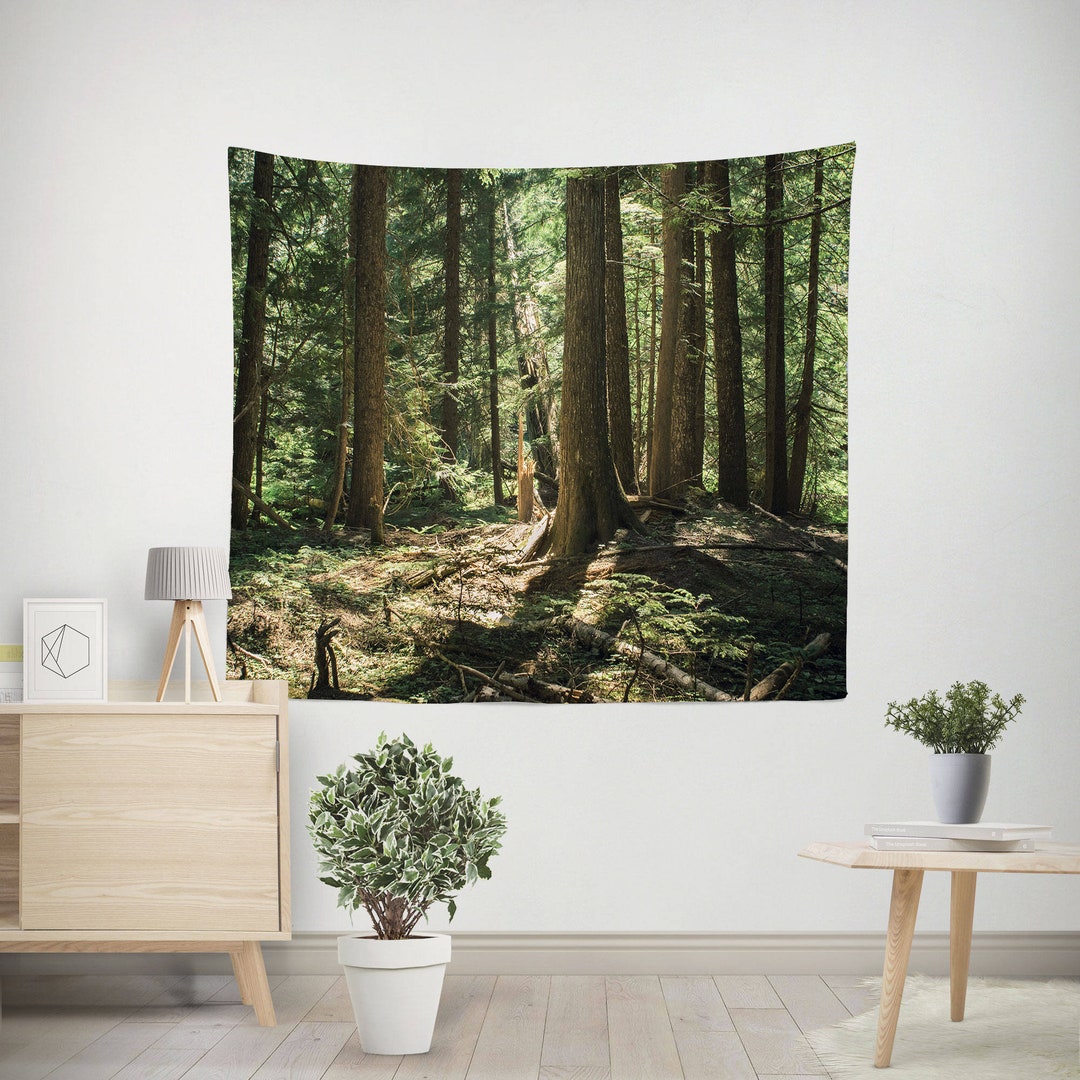 Cedar Grove Forest Tapestry, Trees Wall Hanging, Sunlit Woodland Wall ...