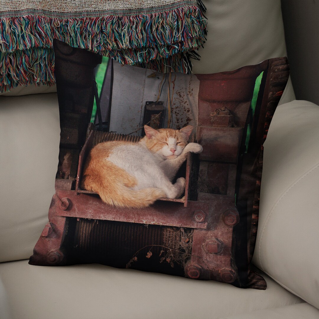 Rustic Farm Cat Throw Pillow, Barn Cat , Farmhouse Decor, Louisiana ...