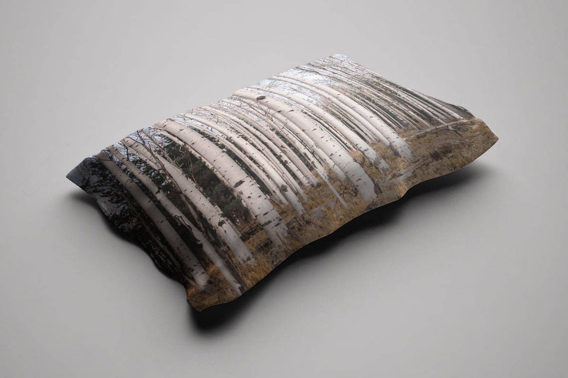 Birch Trees Duvet Cover Twin Queen Nature Bedding Forest - Etsy