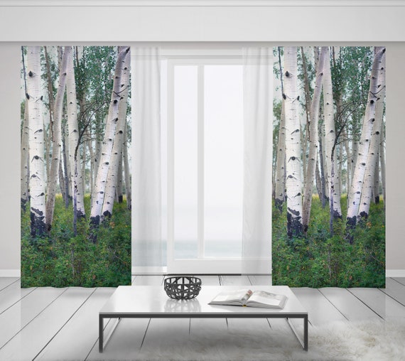 Lush White Birch Trees Window Curtains 50x84 Inches Nature - Etsy