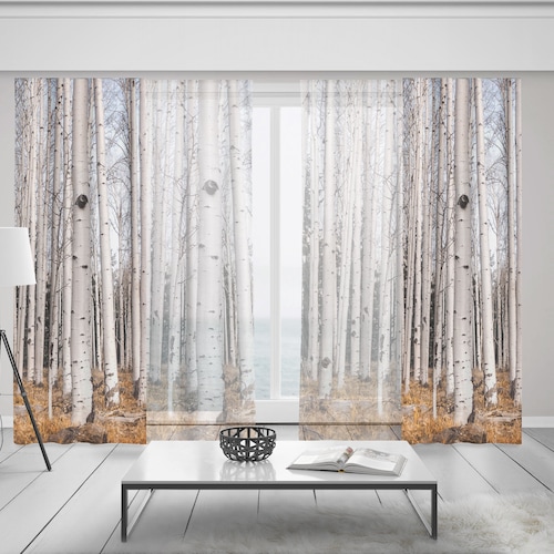 Lush White Birch Trees Window Curtains 50x84 Inches Nature - Etsy