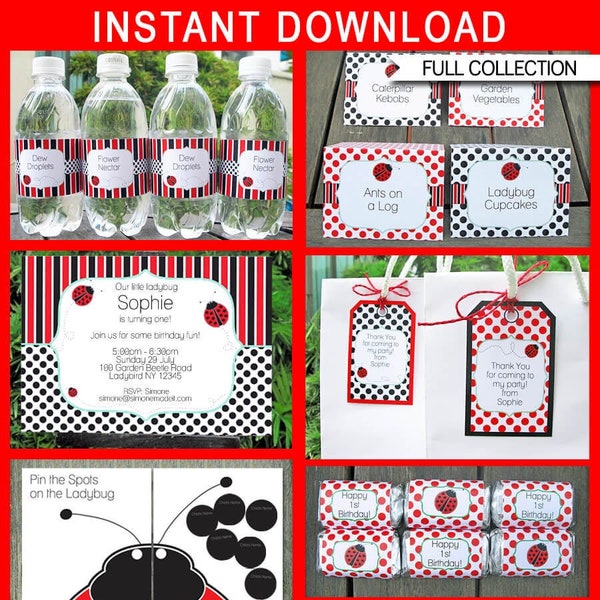 Ladybug Theme Party - Etsy