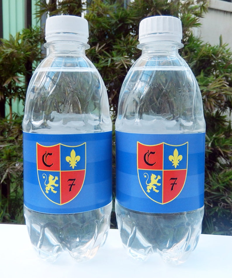Medieval Knight Water Bottle Labels: Editable Birthday Party Wrappers ...