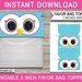 Printable Owl Favor Bag Toppers Template Owl Theme Birthday Party or ...