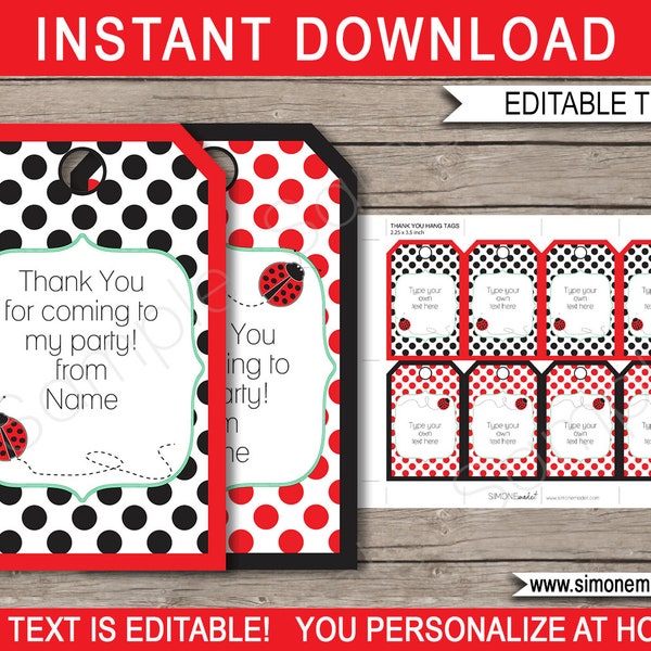 Ladybug Theme Party - Etsy
