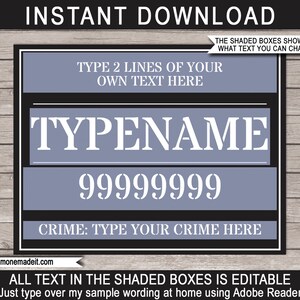 Police Mugshot Backdrop & Board - CSI - Cops and Robbers - Police Party ...