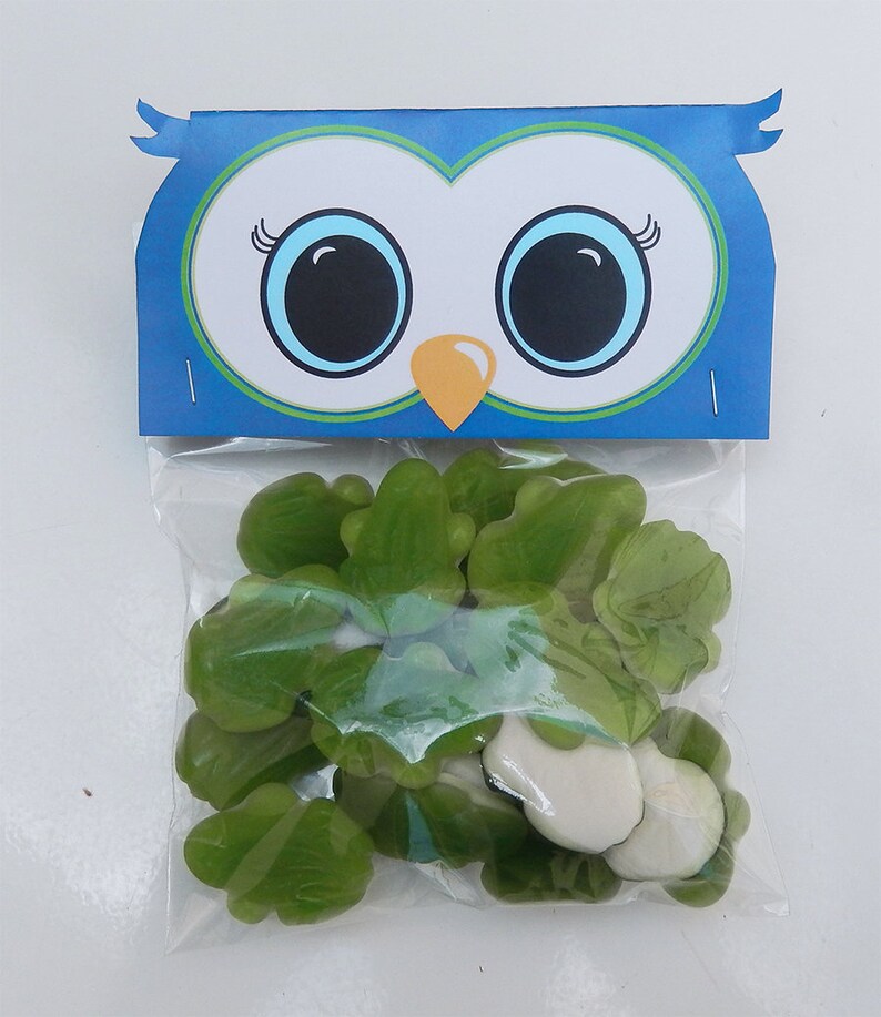 Owl Favor Bag Toppers Template: Printable Party Tags (digital Download ...