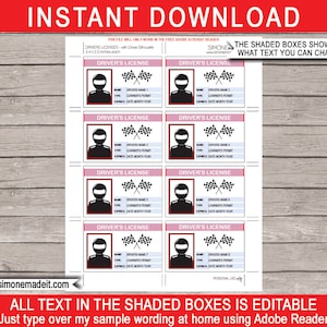 Race Car Driver's License: Birthday Party Favors (printable, Editable ...