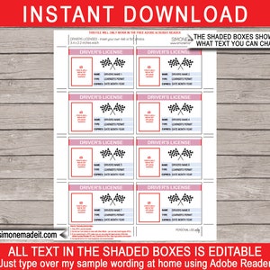 Race Car Drivers License Birthday Party Decorations or Favors ...