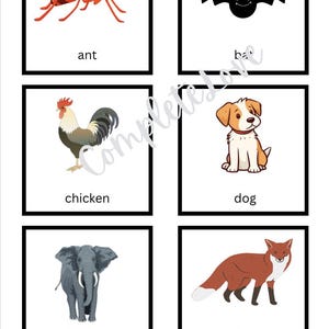 Printable Daycare, Preschool, Early Elementary Animal Alphabet Matching ...