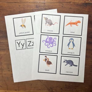 Printable Daycare, Preschool, Early Elementary Animal Alphabet Matching ...