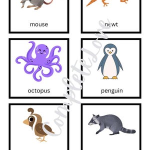 Printable Daycare, Preschool, Early Elementary Animal Alphabet Matching ...