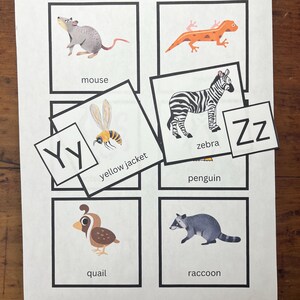 Printable Daycare, Preschool, Early Elementary Animal Alphabet Matching ...
