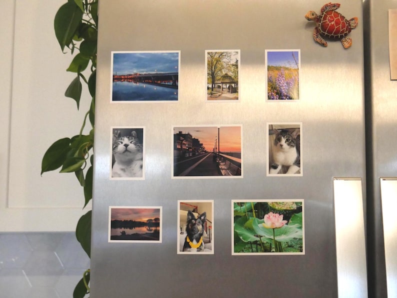 Custom Mini Photo Prints, Personalized Mini Photo Prints, Pet Prints ...