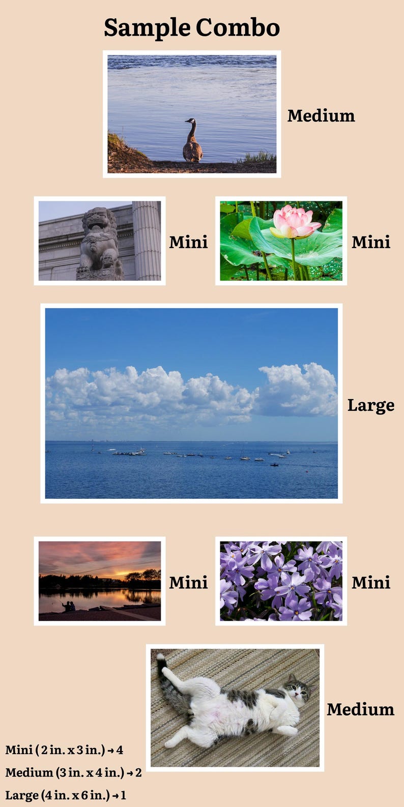 Custom Mini Photo Prints, Personalized Mini Photo Prints, Pet Prints ...