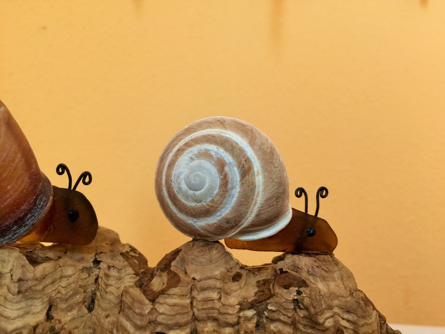 Driftwood Coastal Decor Sea Shell Snail Art Sculpture on Cork | Etsy