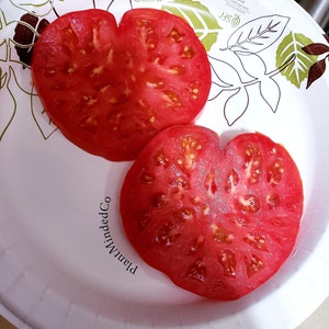 BIG RED TOMATO - Heirloom - the Original - Great Tasting - Read the ...