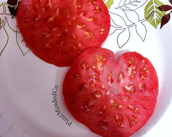 BIG RED TOMATO - Heirloom - the Original - Great Tasting - Read the ...