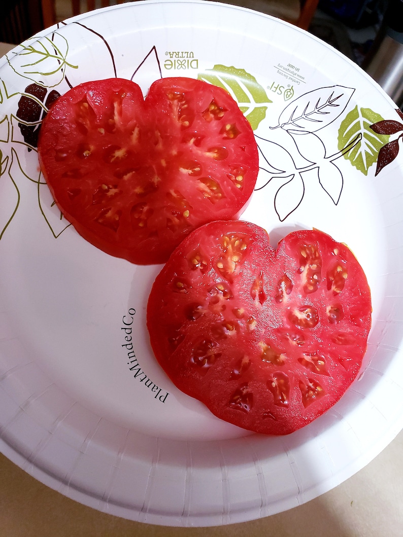 BIG RED TOMATO - Heirloom - the Original - Great Tasting - Read the ...