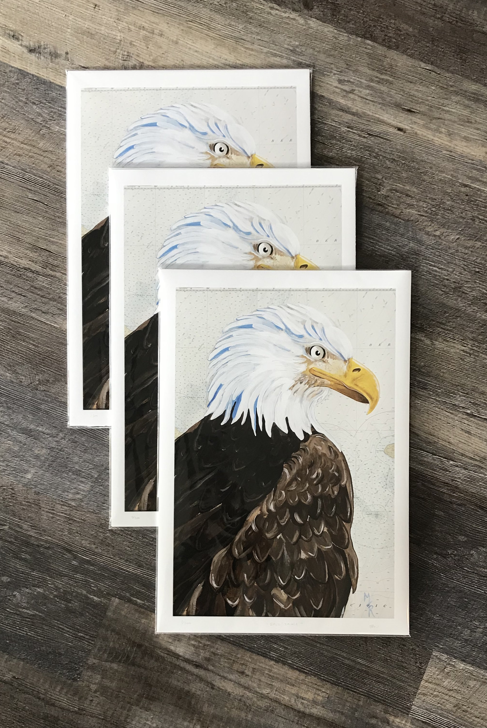 Shop Artworks — M Foxley Art