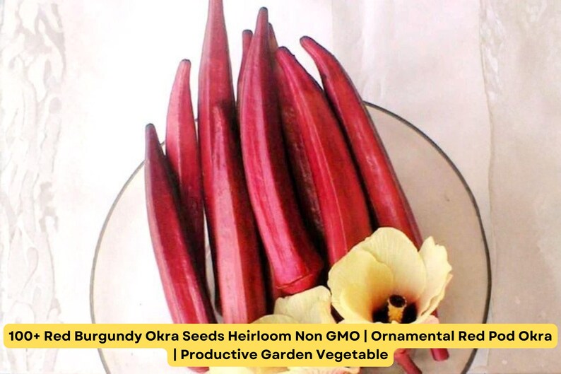 100+ Red Burgundy Okra Seeds Heirloom Non GMO | Ornamental Red Pod Okra ...
