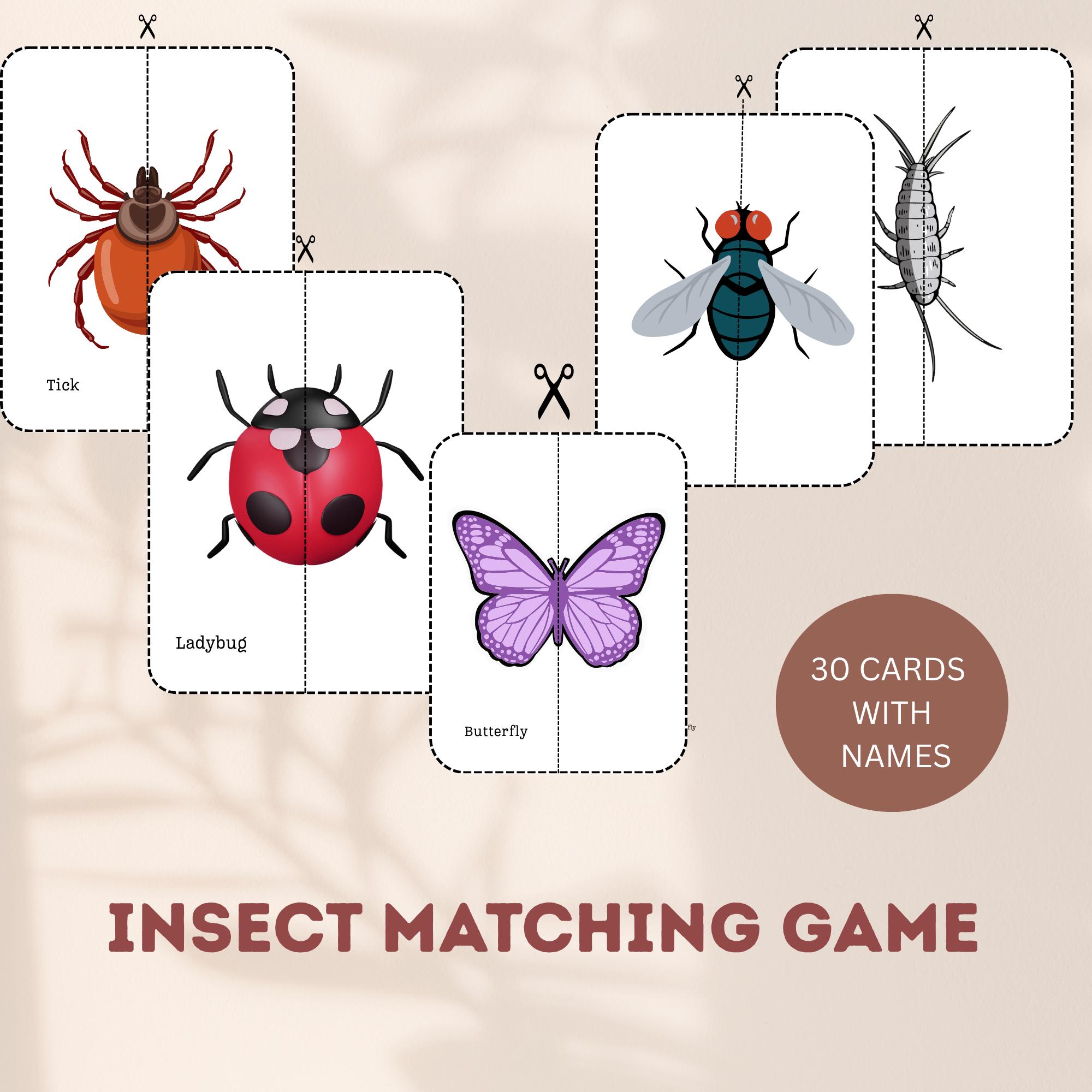 Insect Matching Game for Toddlers, Printable Bug Memory Cards ...